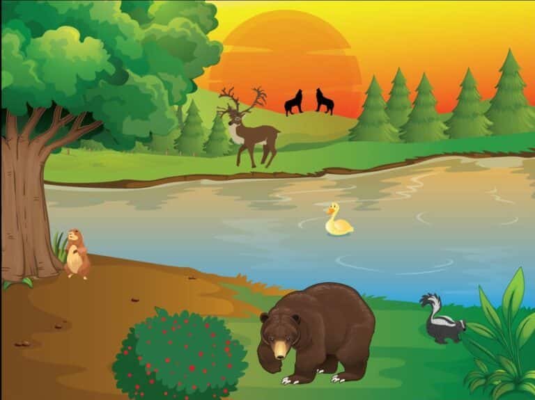 CELPIP Speaking Describe A Scene Forest